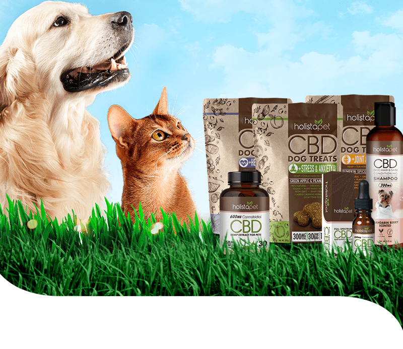 Holista Pet: HUGE Discounts For Your Pet This Weekend Only! | Milled