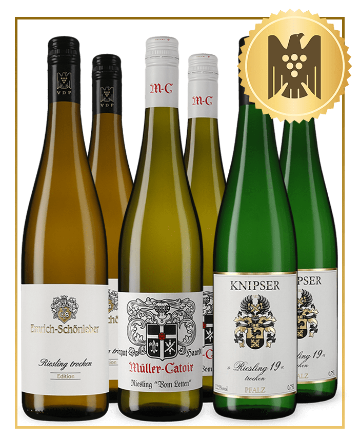 Vicampo: VDP-Riesling-Highlights zum exklusiven Sparpreis entdecken ...