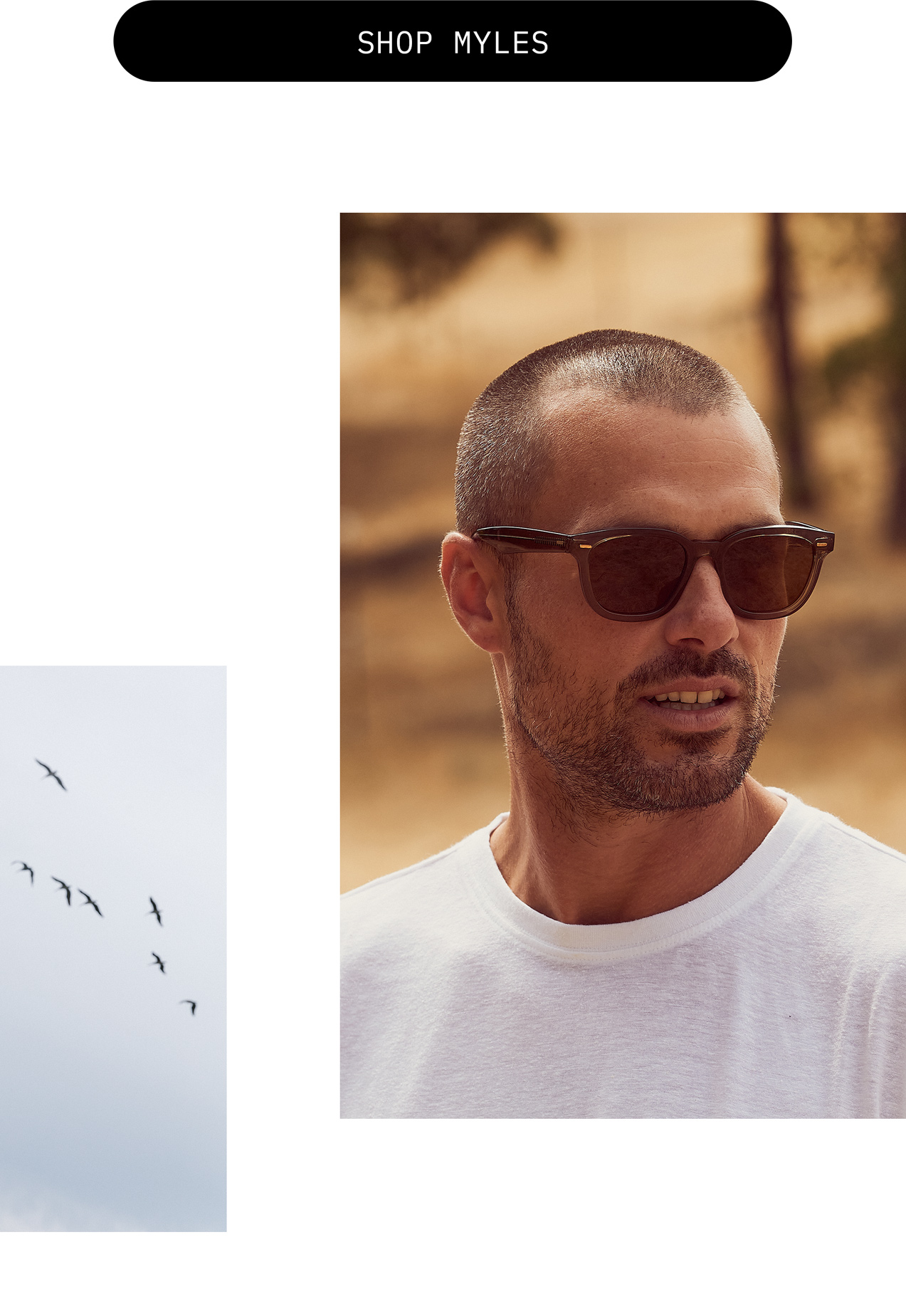 Raen Optics: Your new favorite sunglasses | Milled