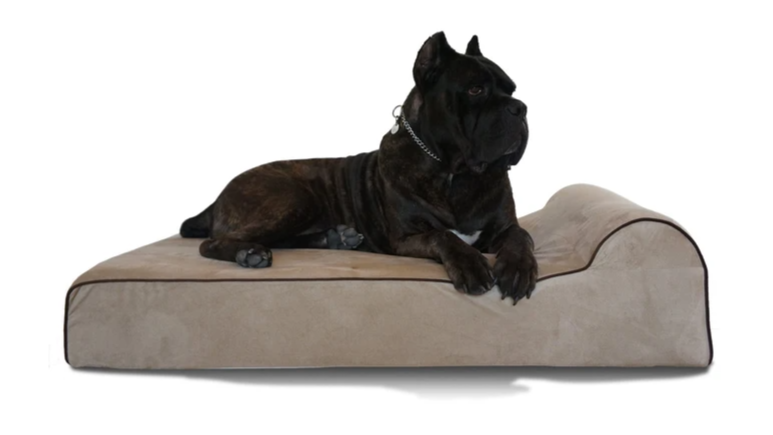 Bully Beds: Announcing Our New Infrared Dog Bed & Cover | Milled