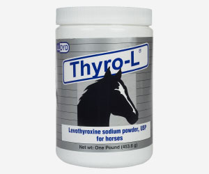 Valley Vet Supply: Equine Cushings, Explained | Milled