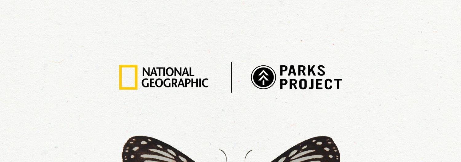 Parks Project: NEW: National Geographic x Parks Project | Milled