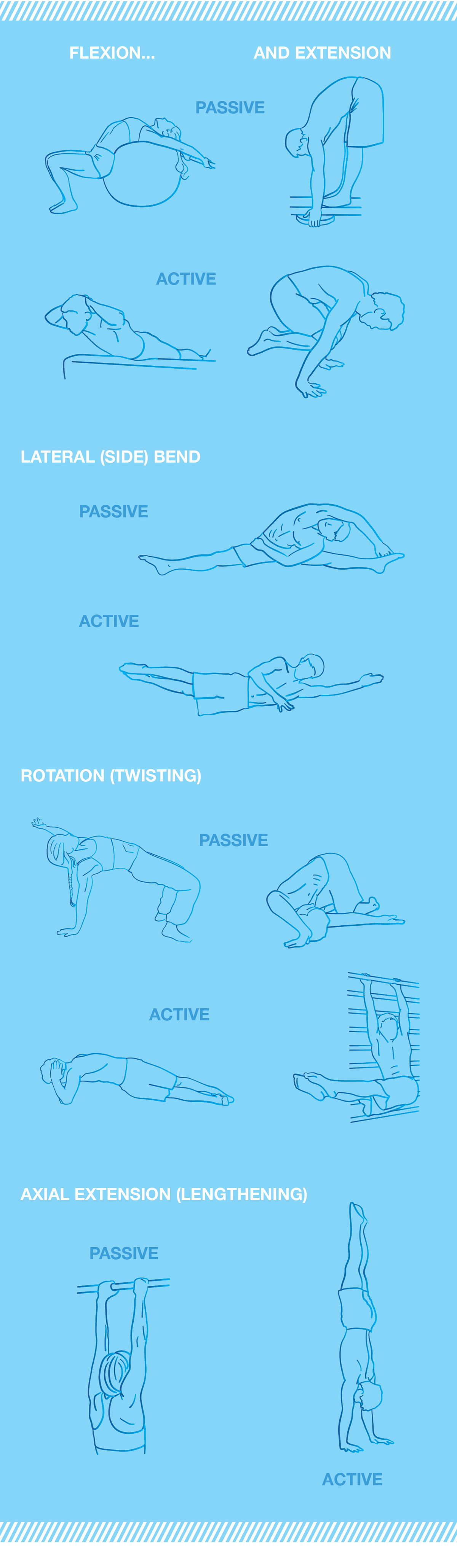 Gymnastic Bodies: How to Keep Your Spine Healthy | Milled