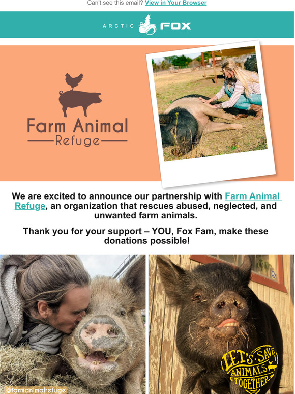 Arctic Fox: YOU Helped Save These Pigs | Milled