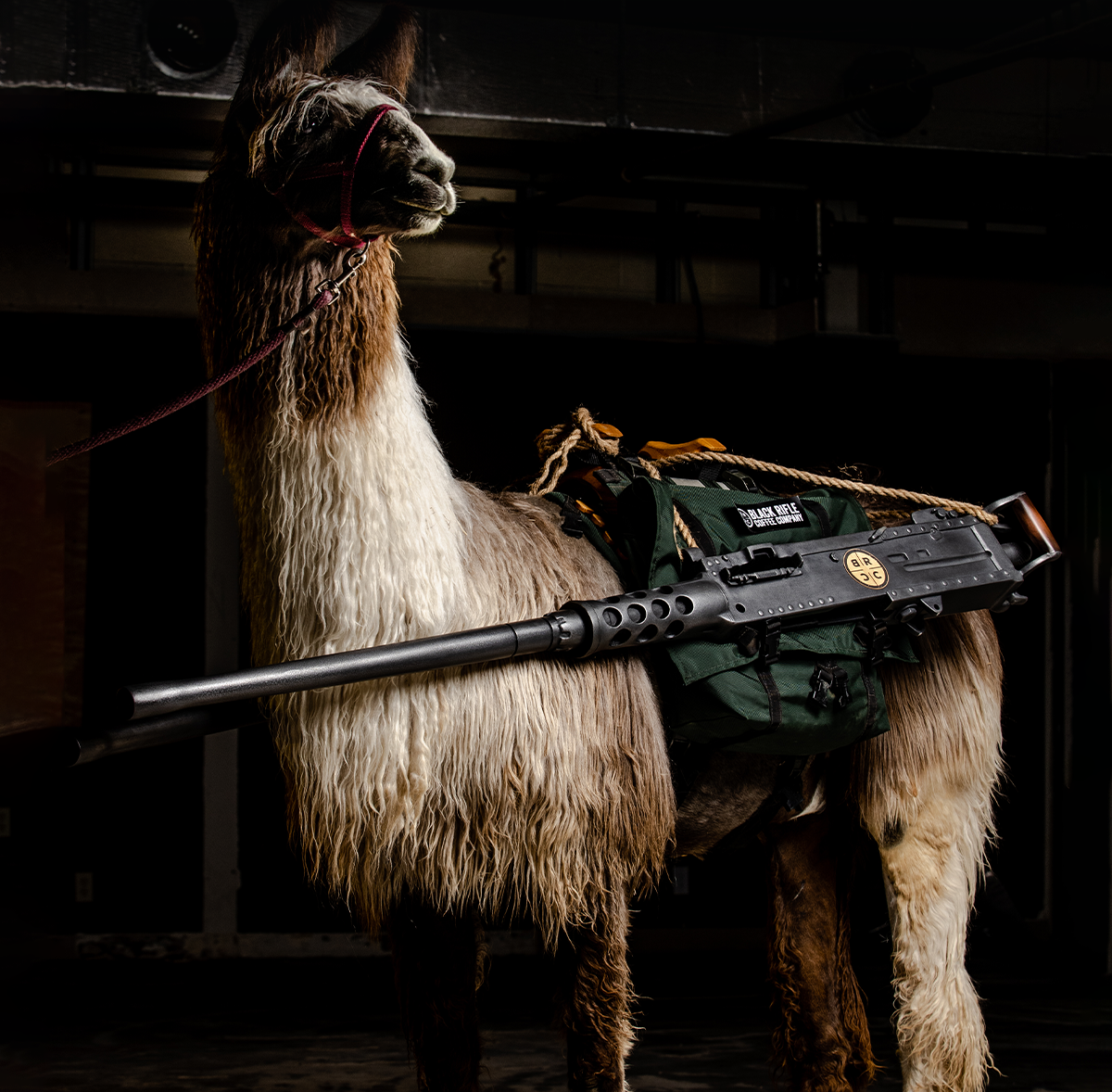 Black Rifle Coffee: Power Up with Our Newest Coffee Power Llama | Milled