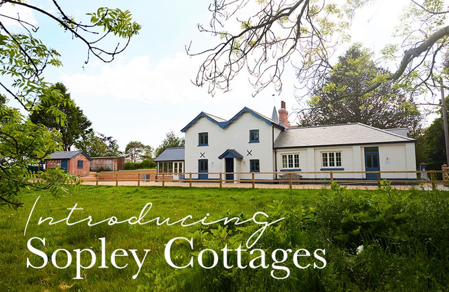 New Forest Cottages: Introducing Sopley Cottages | Milled
