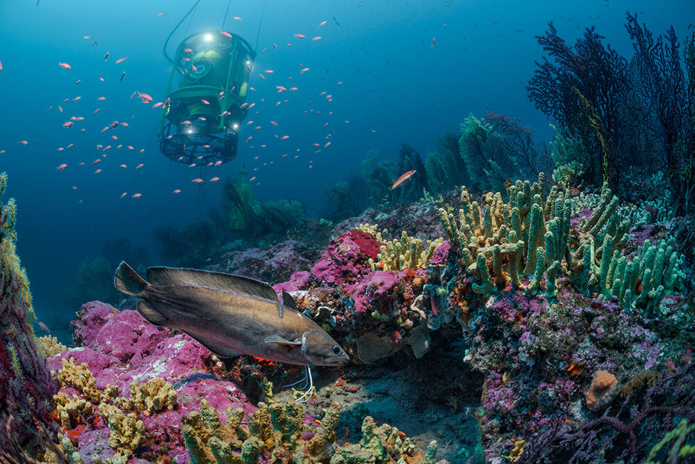 National Geographic: PHOTOGRAPHY: They spent 28 days under the sea | Milled