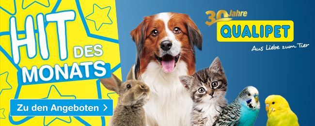 Qualipet: Unser Hit des Monats Mai 2021 | Milled