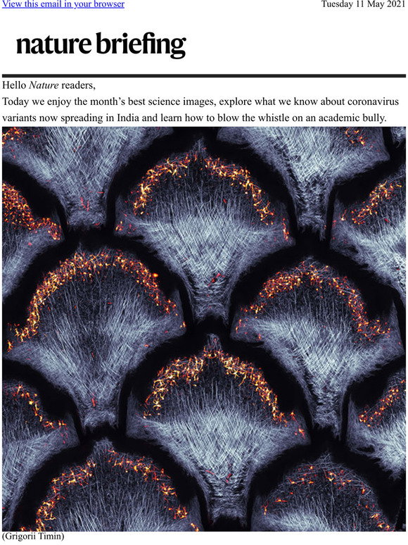 Nature: What we know about coronavirus variants now spreading in India ...