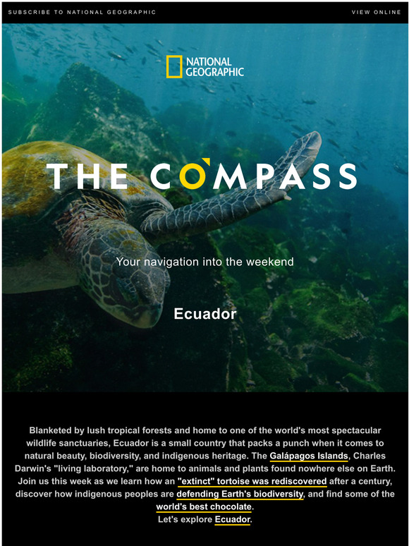 National Geographic: The Compass: Ecuador | Milled