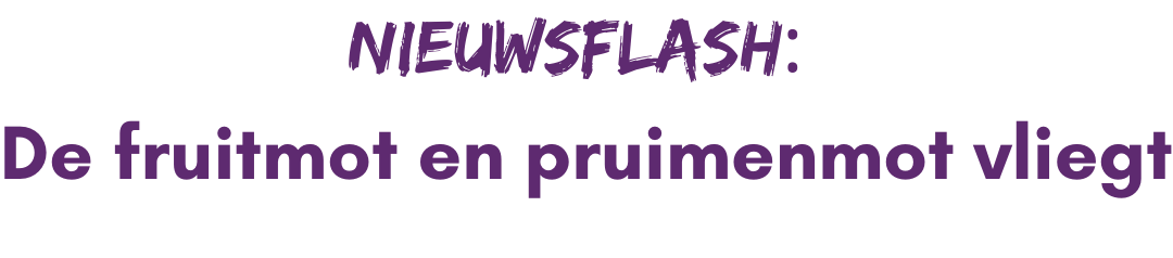 Biogroei: Nieuwsflash: De fruitmot en pruimenmot vliegt | Milled