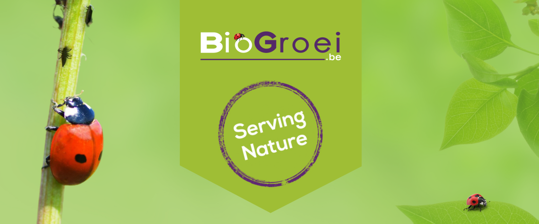 Biogroei: Nieuwsflash: De fruitmot en pruimenmot vliegt | Milled