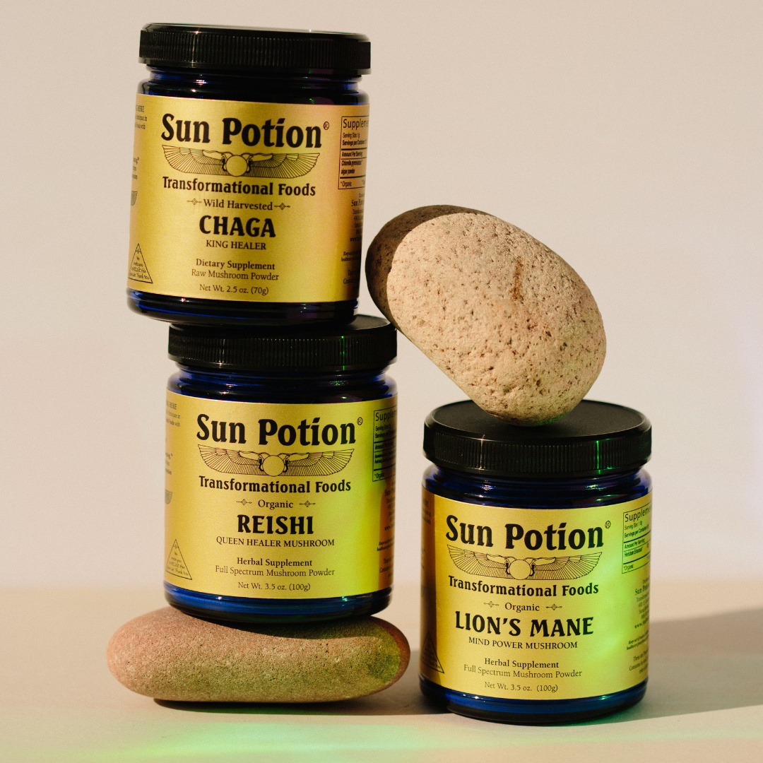 Sun Potion: Introducing our newest mushroom! | Milled