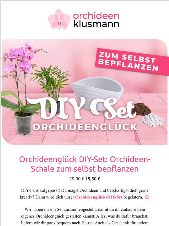 Orchideen Klusmann DE: DIY Set Orchideenglck | Milled