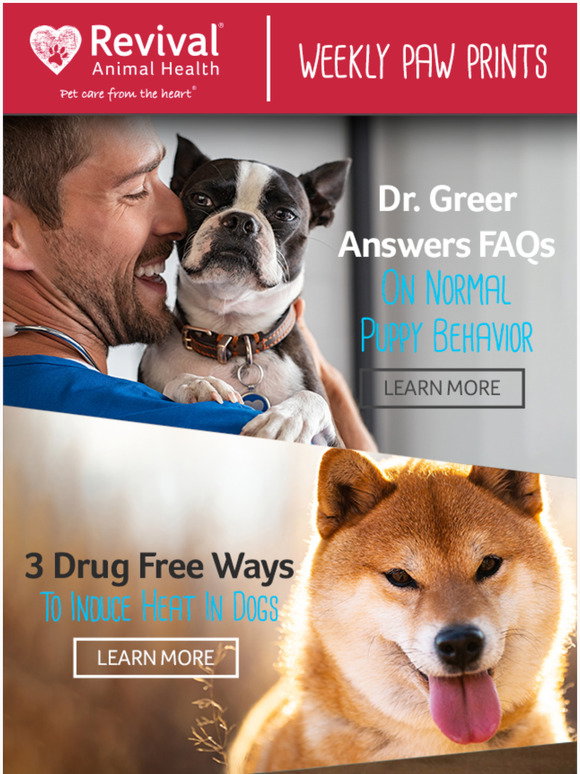 Revival Animal Health: Puppy Behavior: Is This Normal? | Milled