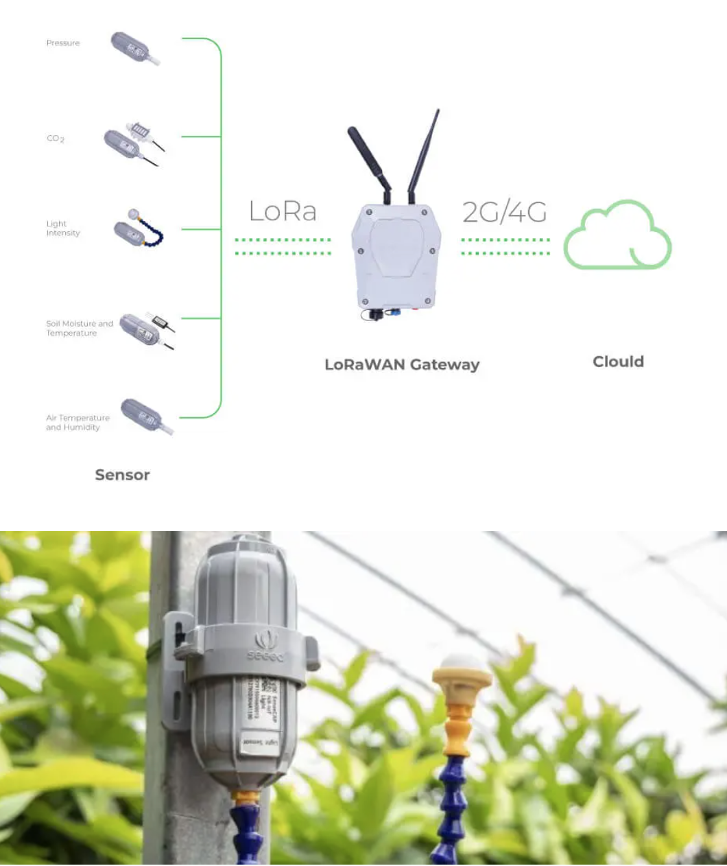 Seeed Studio: SenseCAP Wireless Smart Agriculture Kits precisely ...