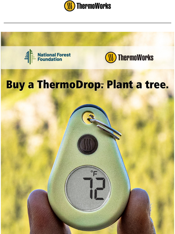 ThermoWorks: New Sage Green ThermoDrop - Limited Edition | Milled