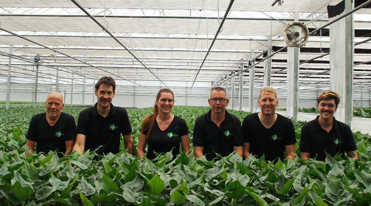 Plantje: Een kijkje in de kas | Milled