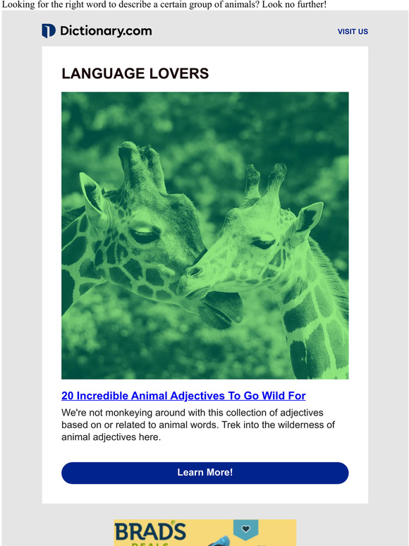 Dictionary.com: 20 Incredible Animal Adjectives To Go Wild For | Milled
