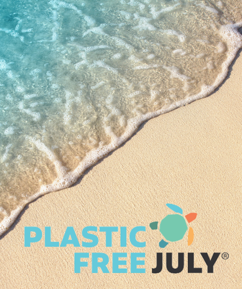 Love Your Health: Learn how to live plastic free | Milled