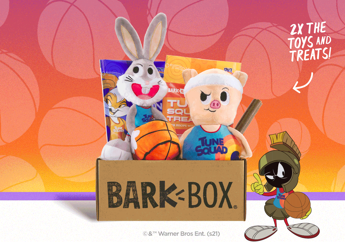 BarkBox: The Space Jam Box. Doubled. For FREE. | Milled