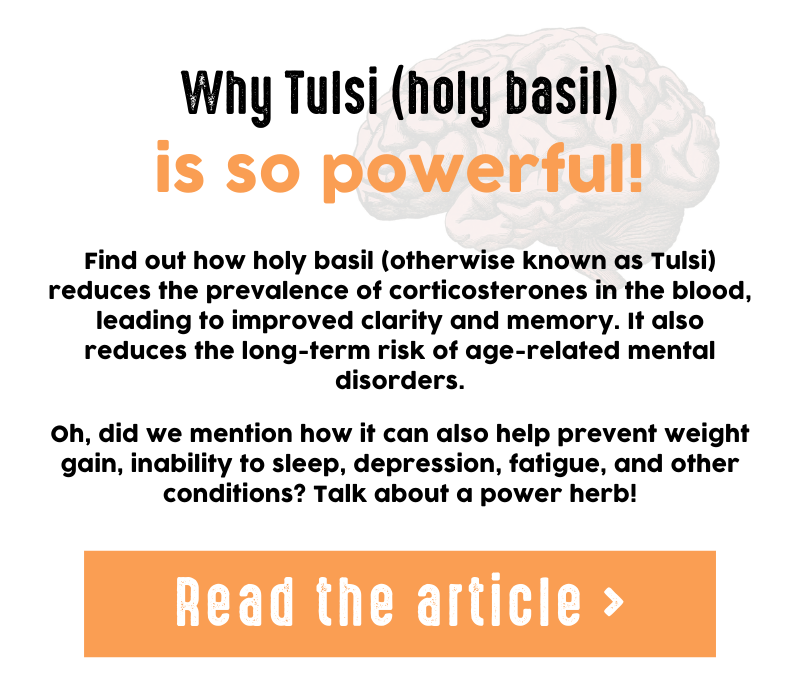 Wise Ape Tea: The Badass Brain Benefits of Holy Basil | Milled