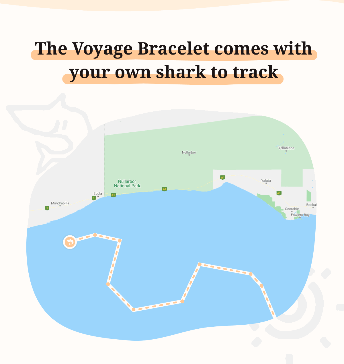 Fahlo: Want to track a shark during Shark Week? | Milled