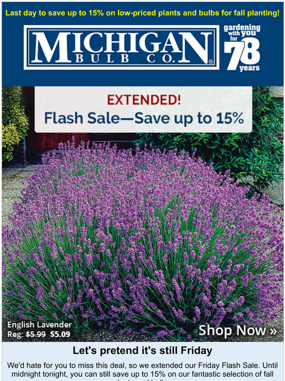 Michigan Bulb: Take up to 15% off todays order | Milled