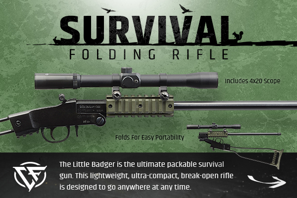 GunBroker: The Little Badger .22LR Survival Folding Rifle | Milled