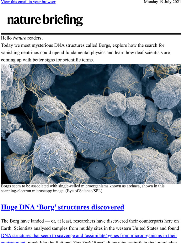 Nature: Huge DNA Borg structures perplex scientists | Milled