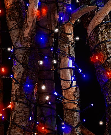 LTD Commodities: Our NEW Catalog Is Here! | Milled