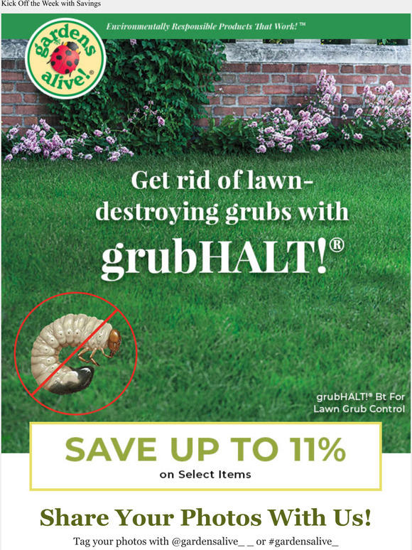 Gardens Alive: Patches of dead grass? Grubs may be the culprits. | Milled