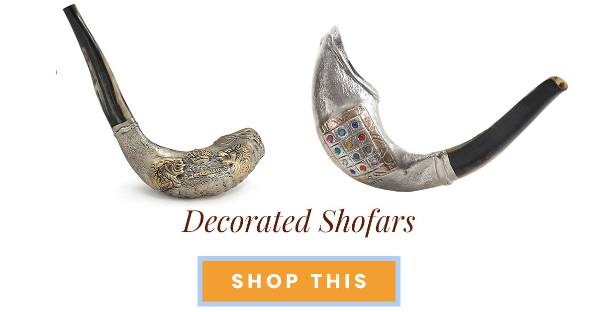 Judaica Web Store: Shofars from Israel Get Ready for Rosh Hashanah | Milled
