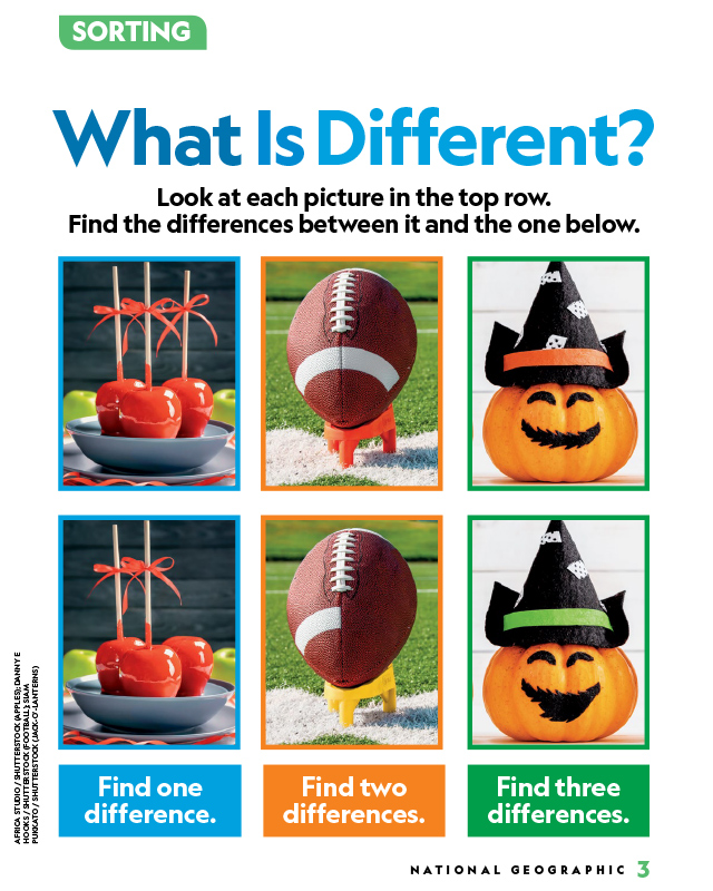 National Geographic: Summer fun with Nat Geo Little Kids' Big Little ...