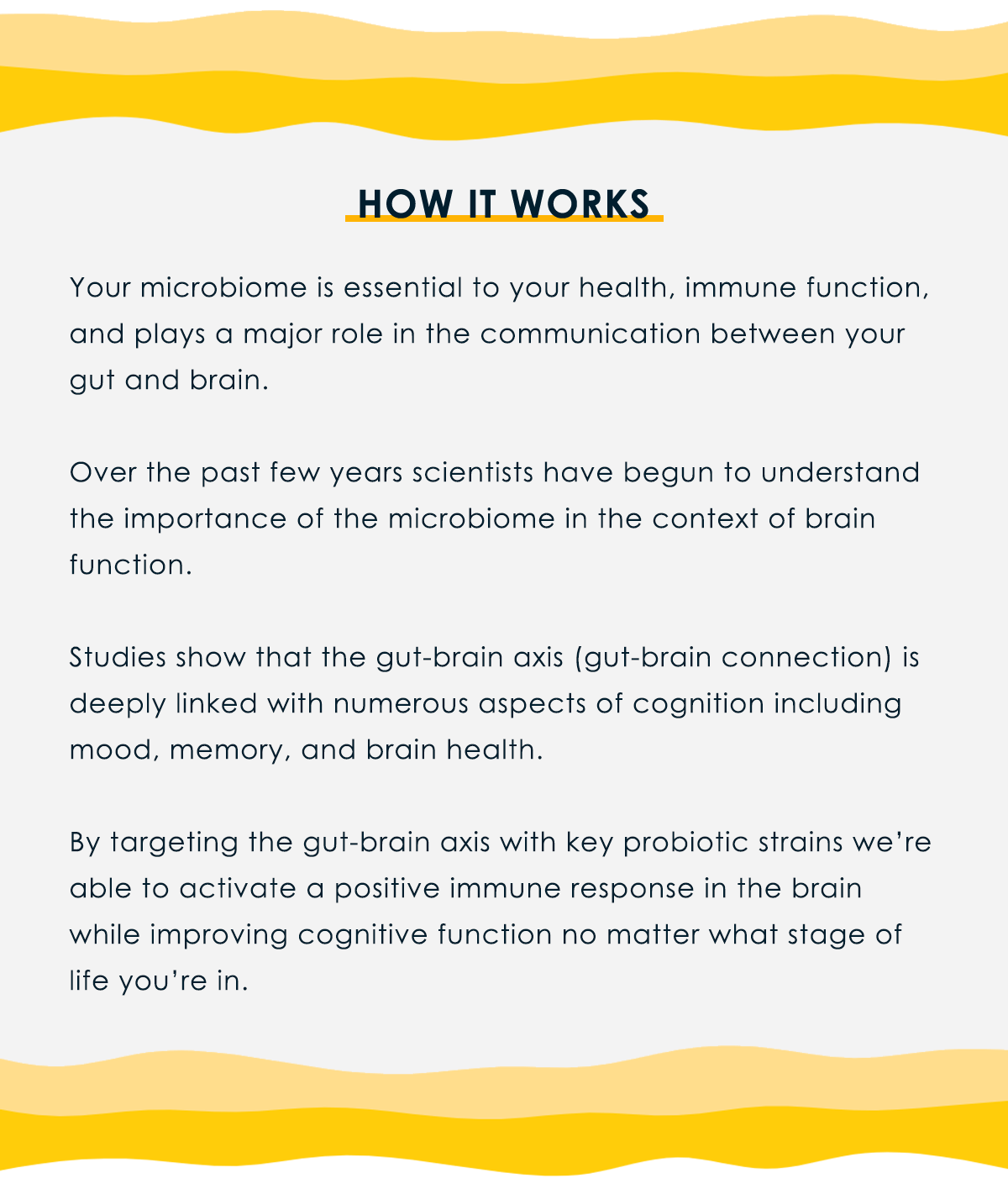 Natural Stacks: Probiotics support your GUT-BRAIN Axis | Milled