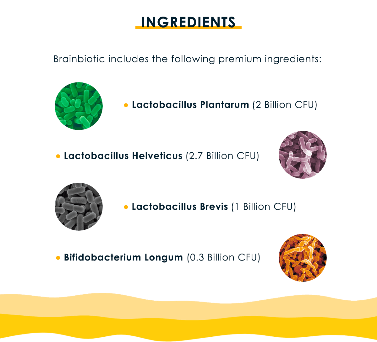 Natural Stacks: Probiotics support your GUT-BRAIN Axis | Milled