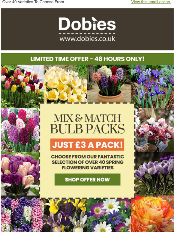 Dobies: Only 3! Mix & Match Bulb Packs | Milled