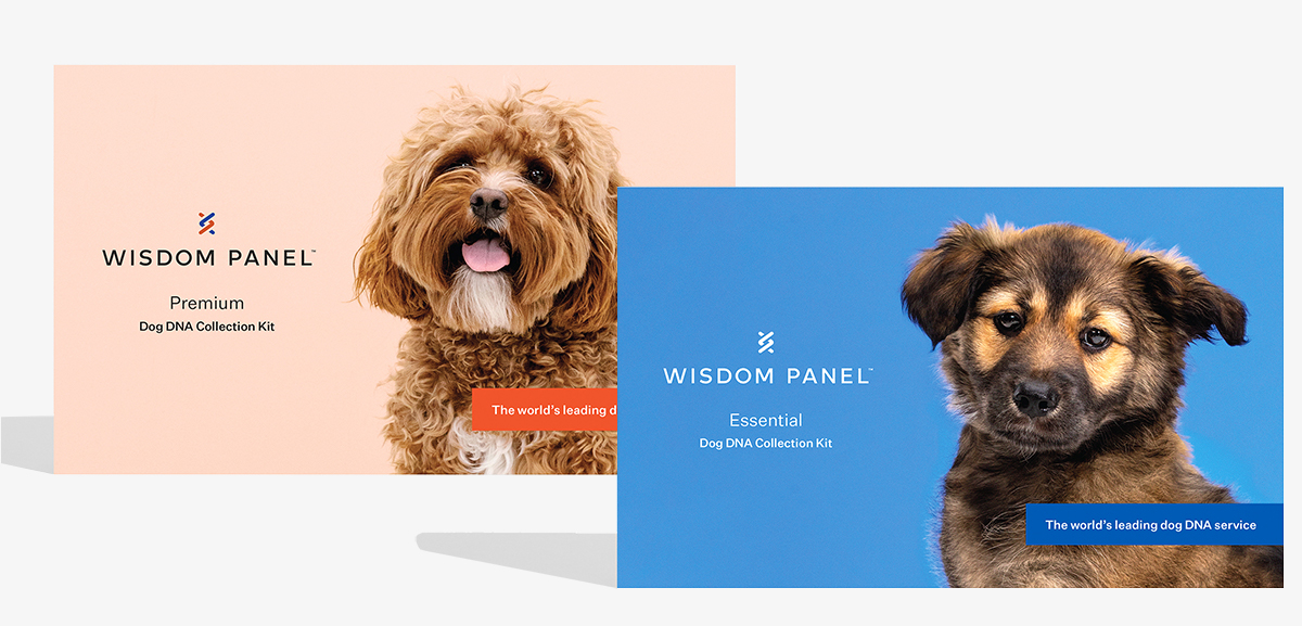Wisdom Panel: Decode your pups ancestry with >98% accurate breed ...