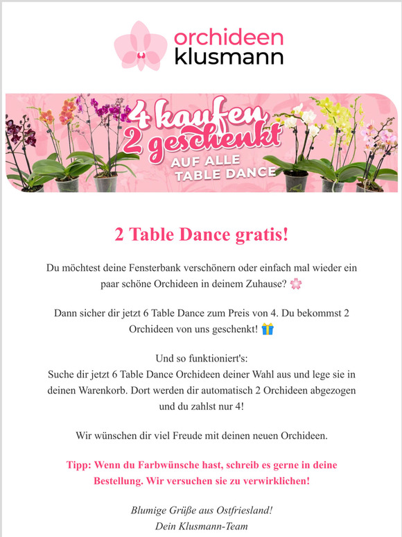 Orchideen Klusmann: Lust auf einen Schwung frischer Table Dance Orchideen? | Milled