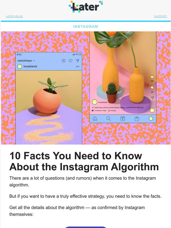 Later: 10 Instagram Algorithm Facts You Need to Know | Milled