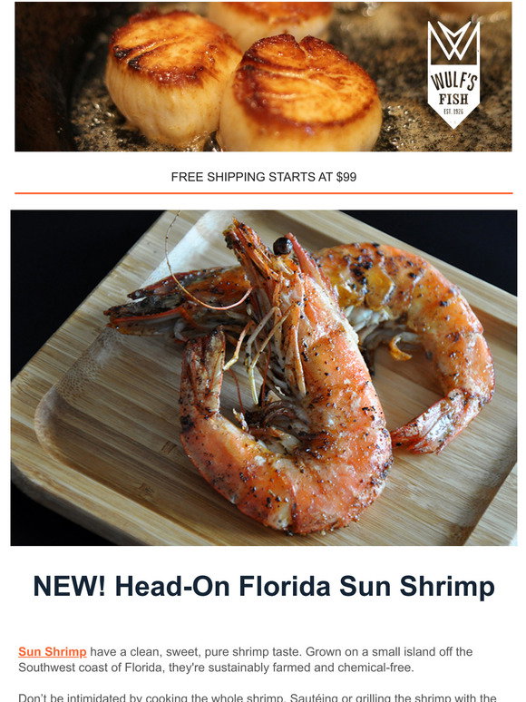 Wulf's Fish: NEW Head-On Florida Sun Shrimp | Milled
