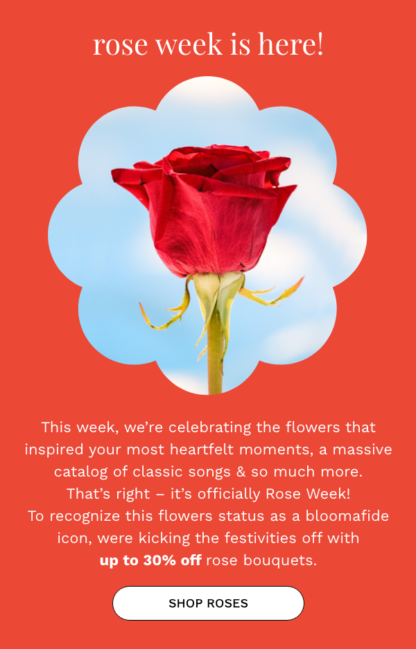 ProFlowers: rose week is here! | Milled