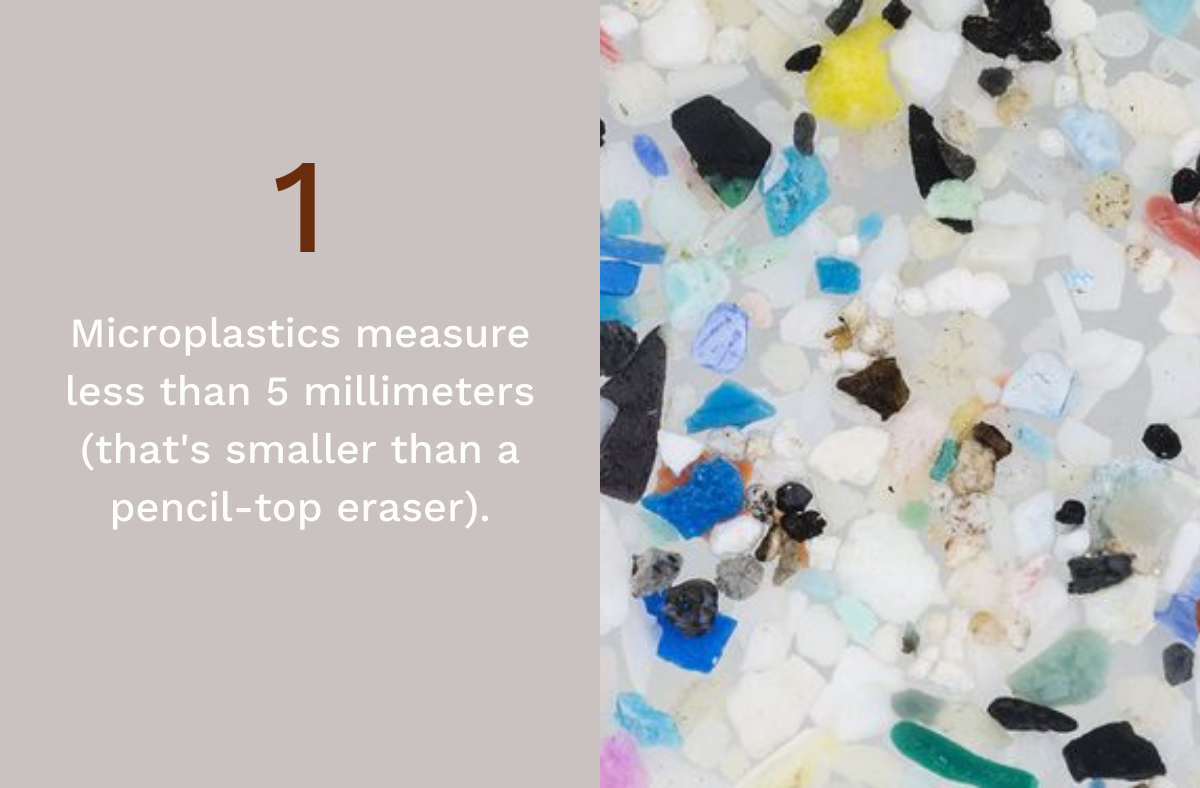 The Verticale: 5 Things You Didnt Know About Microplastics | Milled