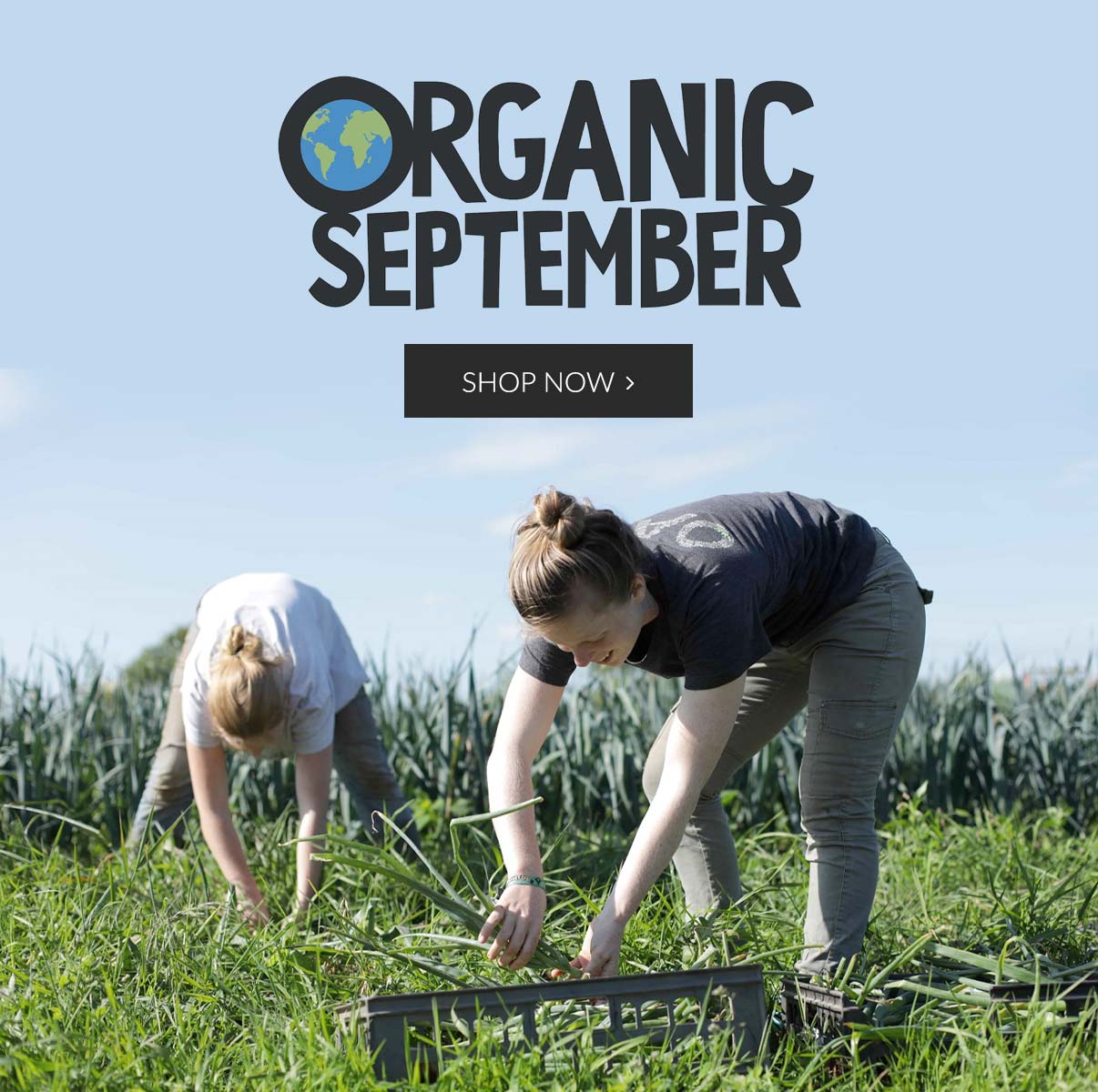 Natural Collection: Organic September - Is it time to go organic? | Milled