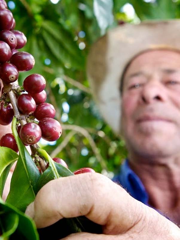 Natural Collection: Organic September - Is it time to go organic? | Milled