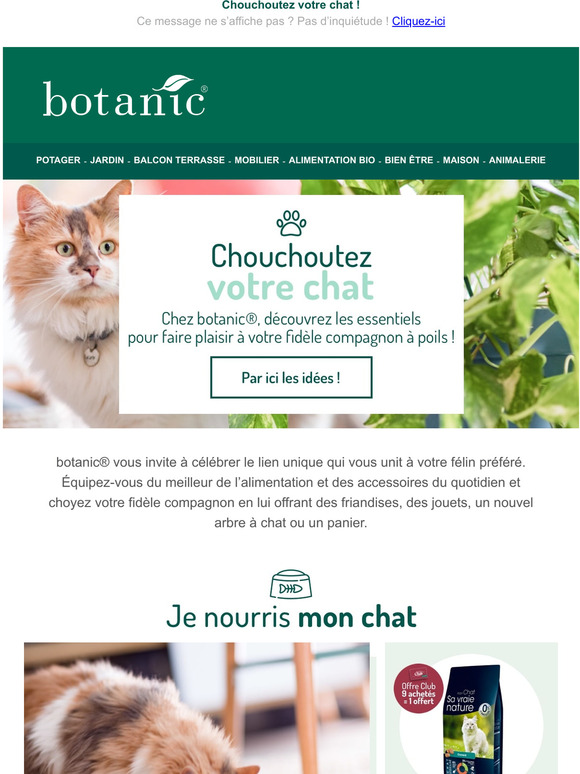 Botanic: Nos ides pour chouchouter votre chat au naturel, suivez le ...