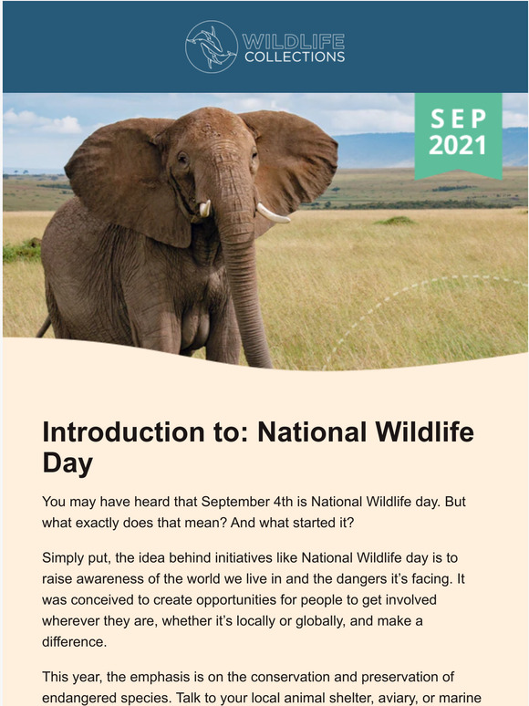 Wildlife Collections LLC: Learn more about National Wildlife Day | Milled