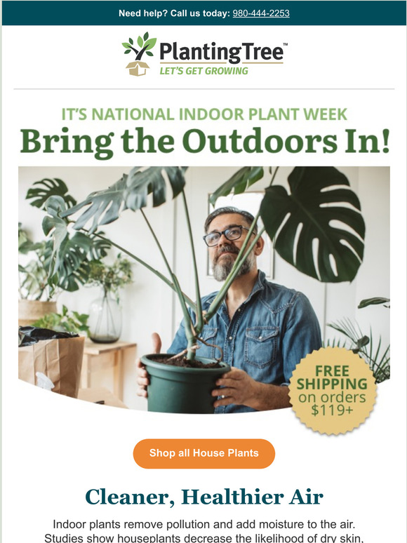 PlantingTree.com: National Indoor Plant Week Starts Now | Milled