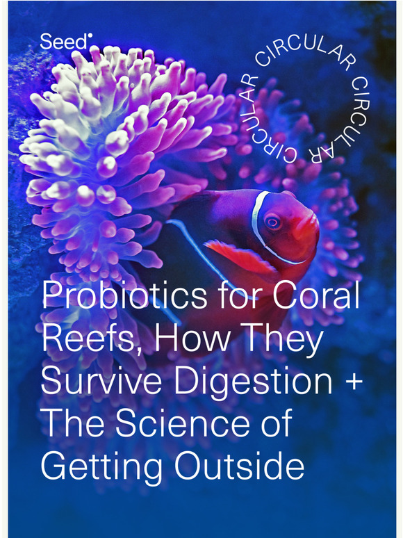 Seed: Can probiotics save the Earths coral reefs? | Milled