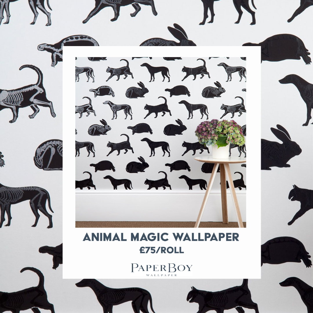 World of Wallpaper: Introducing a New Brand: PaperBoy wallpapers for ...